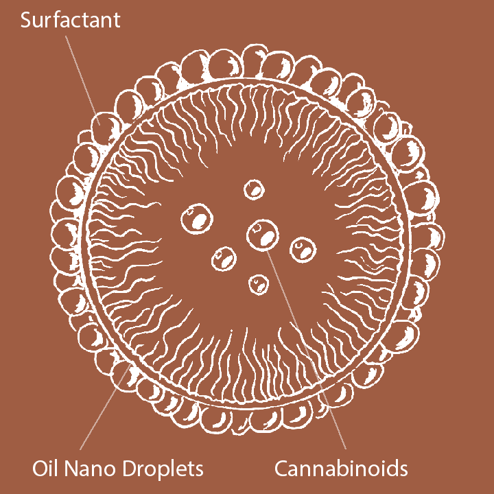 What's Nanoemulsion, and Why Do I See It Everywhere? | Trichome ...